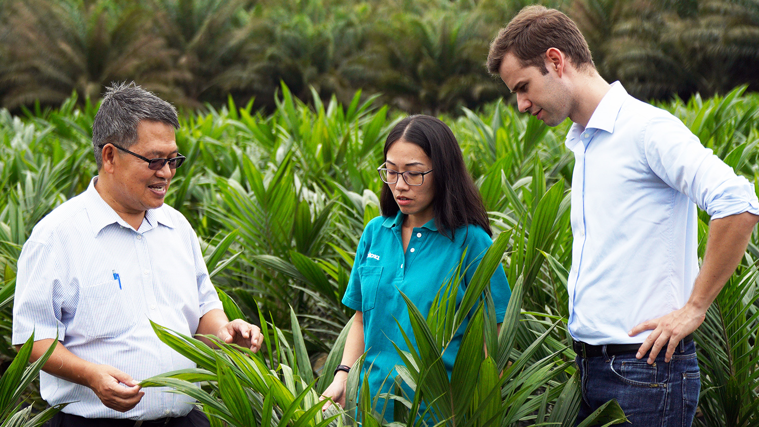 Our commitment to sustainability | AAK